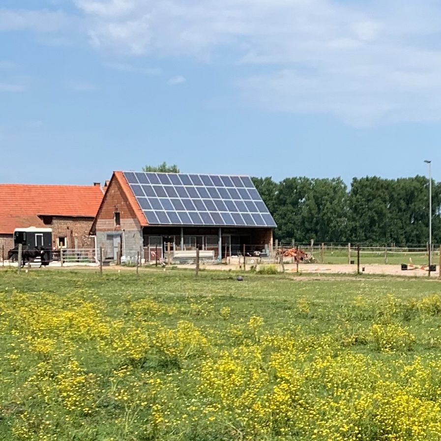 Hof van 't Rommersum | Stiltehoeve voor mensen en paarden